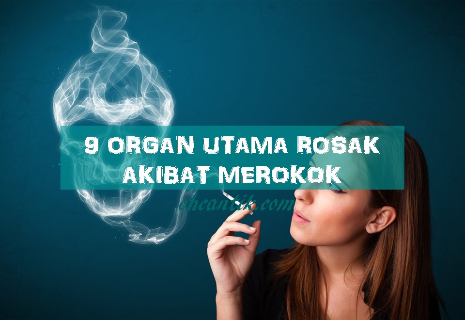 Penyakit Akibat Merokok, Sungguh Tak Berbaloi! | Ohcantik.com