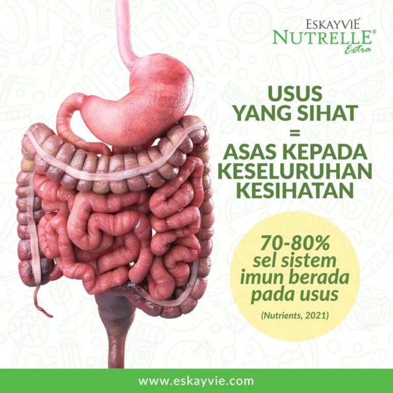 Kesan USUS Kotor Membawa Kepada Banyak Penyakit | Ohcantik.com